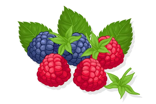 Raspberry pi logo Stock Photos, Royalty Free Raspberry pi logo Images ...