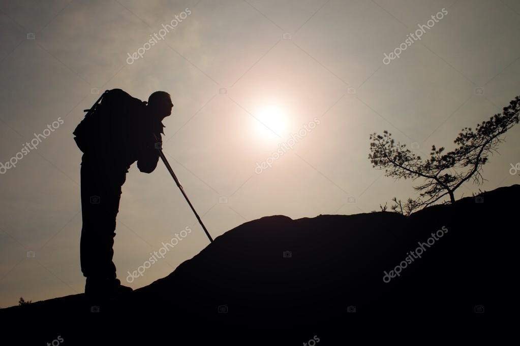 Man hiker with trekking poles stand on mountain peak rock. Small pine ...