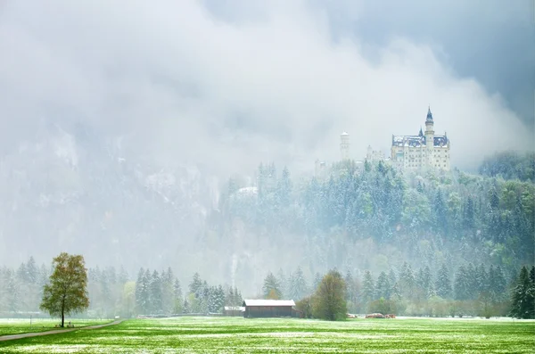 Foggy castle Stock Photos, Royalty Free Foggy castle Images | Depositphotos
