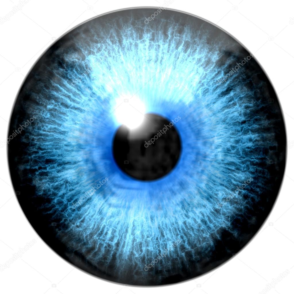 Illustration of blue eye iris, light reflection — Stock Photo © rdonar ...