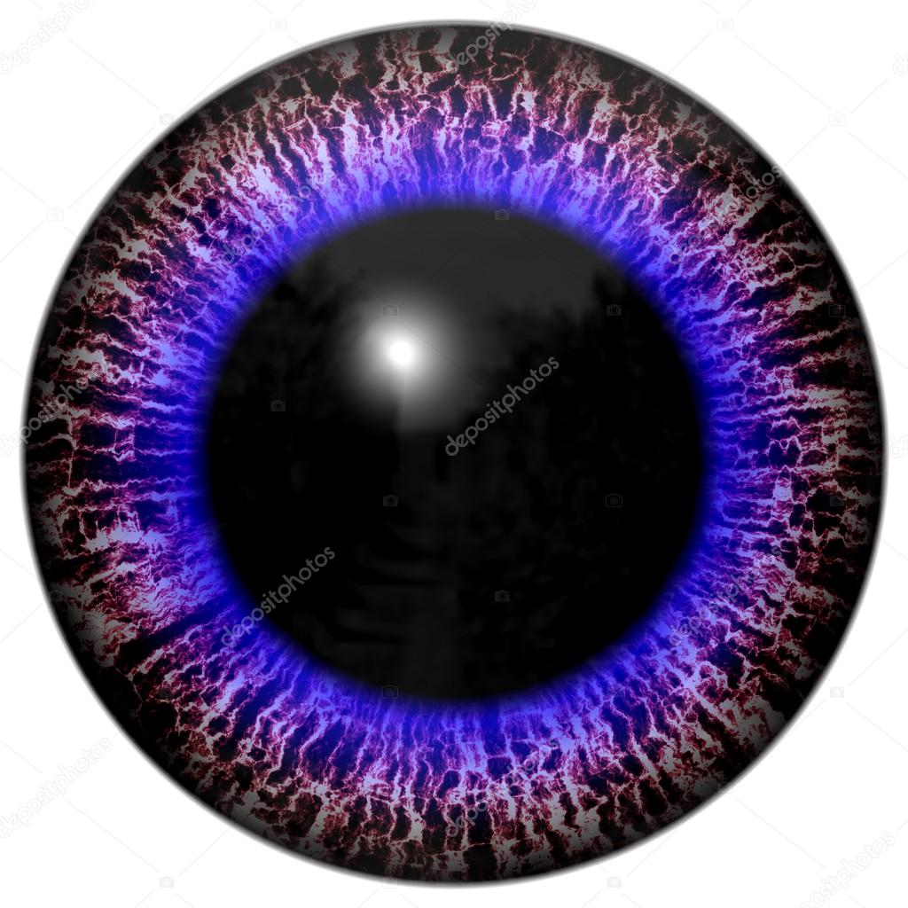 Animal eye with contrast colored iris, detail view into eye — Stock ...