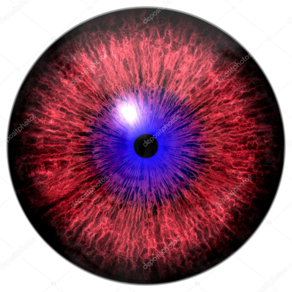 Animal eye with big colored iris, detail view into eye bulb — Stock ...