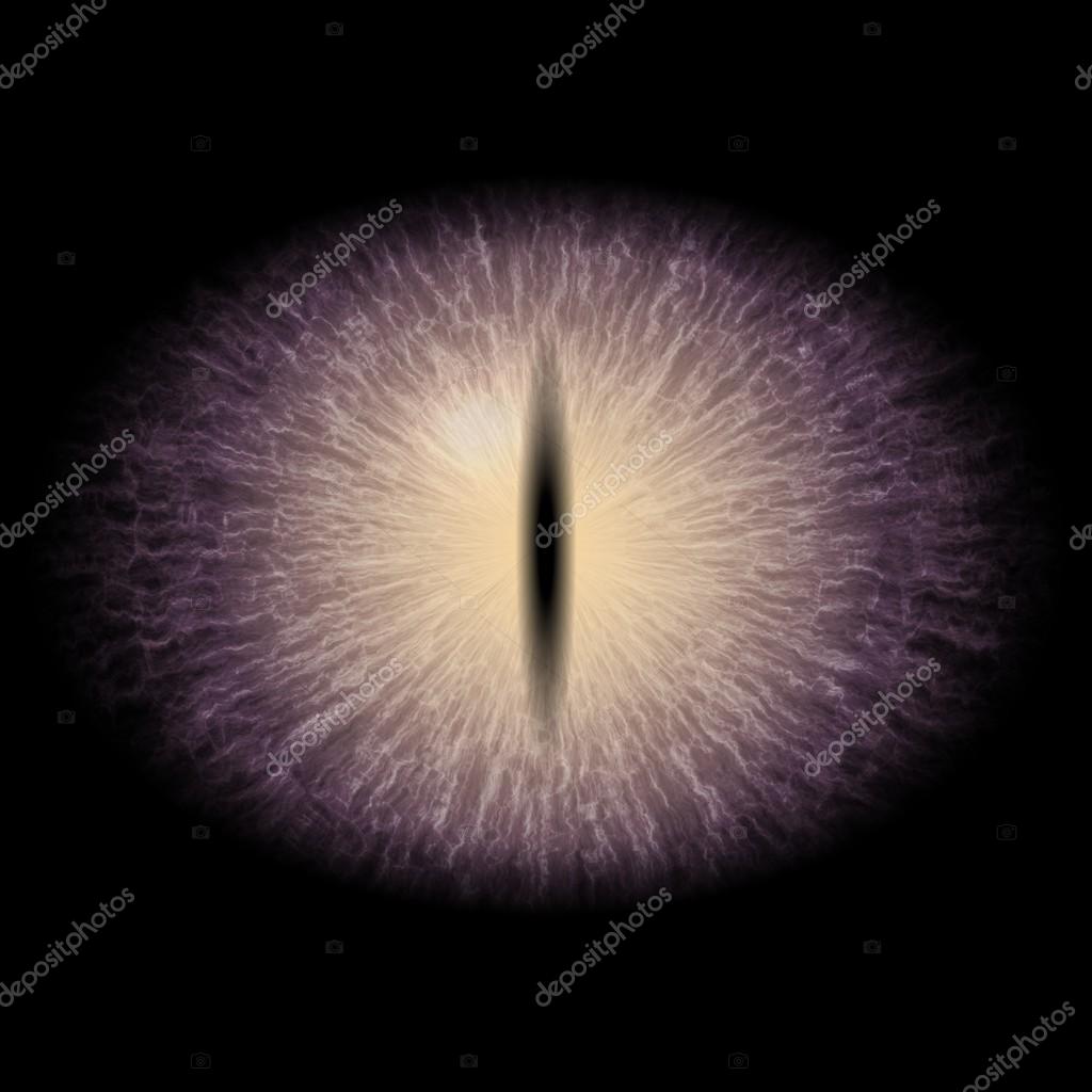 Predator eye with thin pupil and purple iris. Detail view into isolated ...