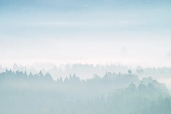 Blue morning. Hills and forests lines in mountain valley during autumn ...