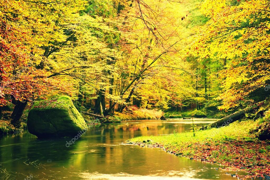 Gran roca caída en el río otoño. Colores de otoño río de montaña ...