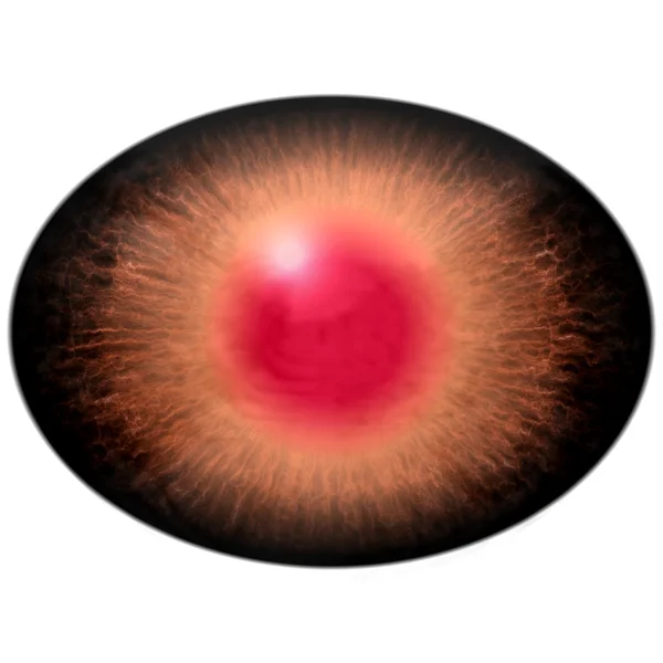 Red eye Stock Photos, Royalty Free Red eye Images | Depositphotos