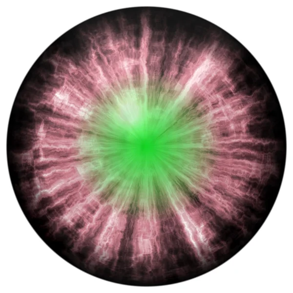 Predator eye with thin pupil and purple iris. Detail view into isolated ...