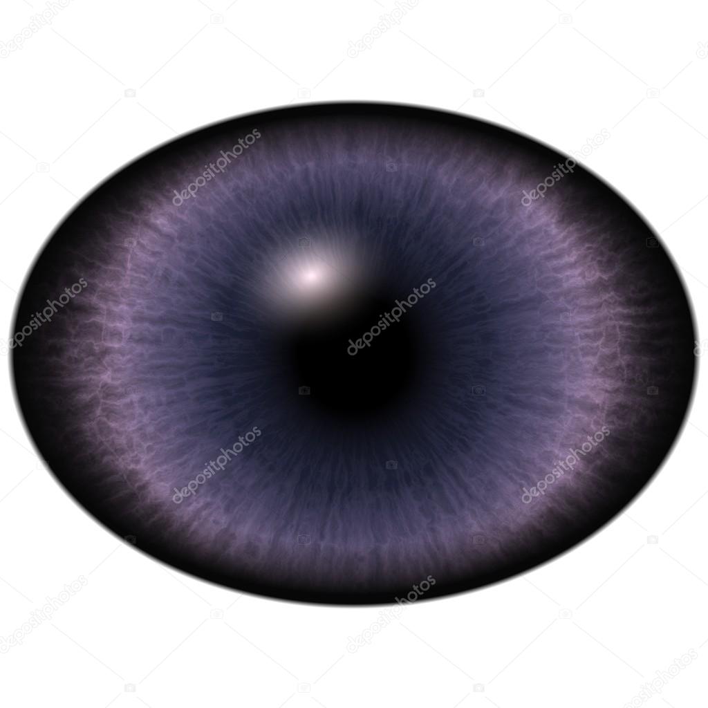 Isolated eye. Raptor purple eye with large pupil and bright red retina ...