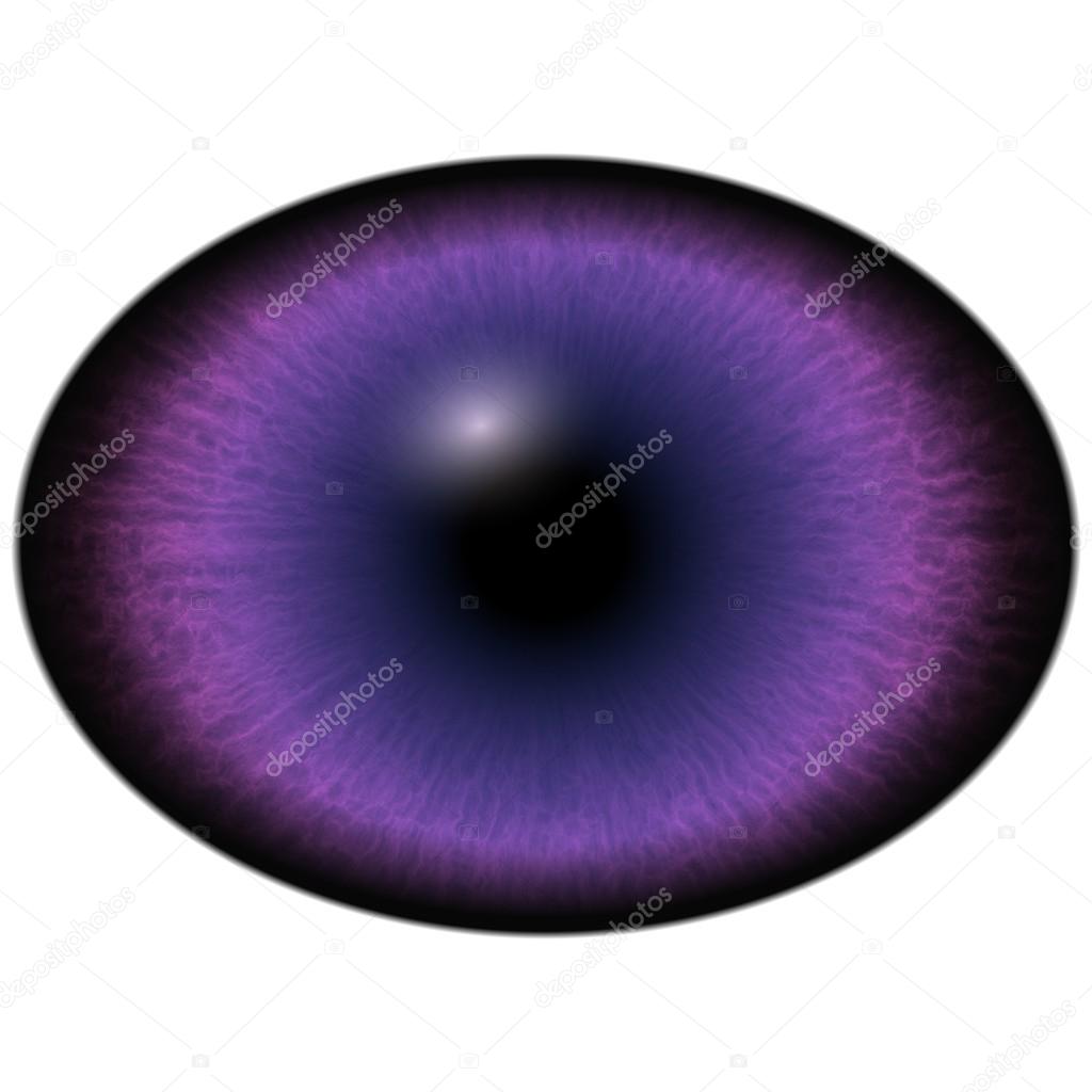 Isolated eye. Raptor purple eye with large pupil and bright red retina ...