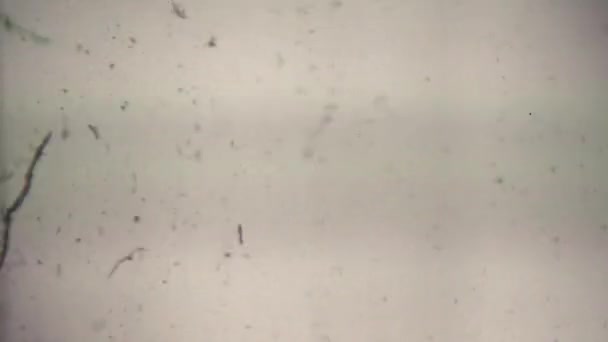 2,678 Film dust texture Videos, Royalty-free Stock Film dust texture ...