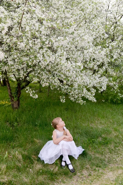 Girl Sitting Flowering Tree Stock Photo by ©Salamakho@yandex.ru 506365246