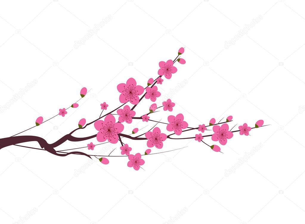 Plum Flower Vector