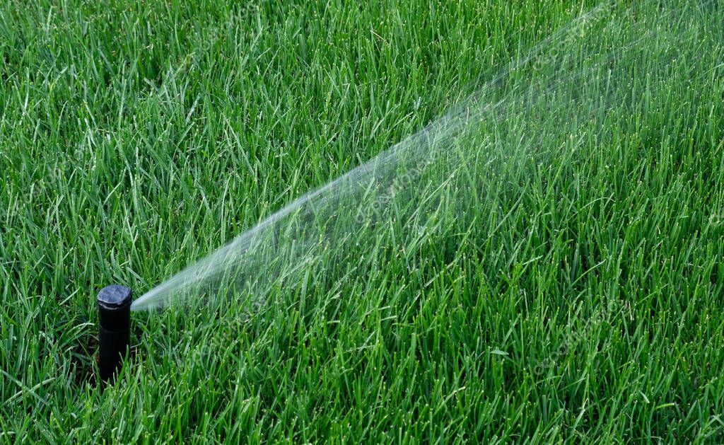 Aspersores de riego automático de hierba en un día caluroso de verano ...