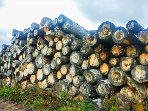 Lumber recycling Stock Photos, Royalty Free Lumber recycling Images ...