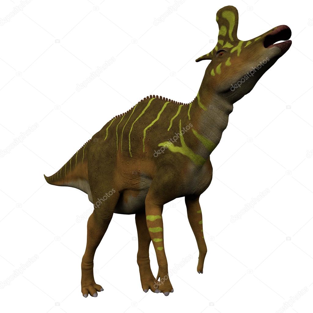 Lambeosaurus Dinosaur on White Stock Photo by ©CoreyFord 113431912
