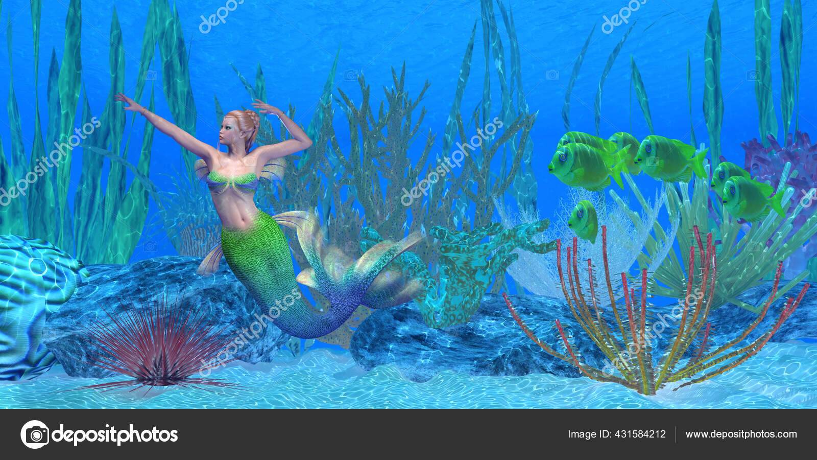 School Lemonpeel Angelfish Watch Beautiful Mermaid Swims Underwater ...