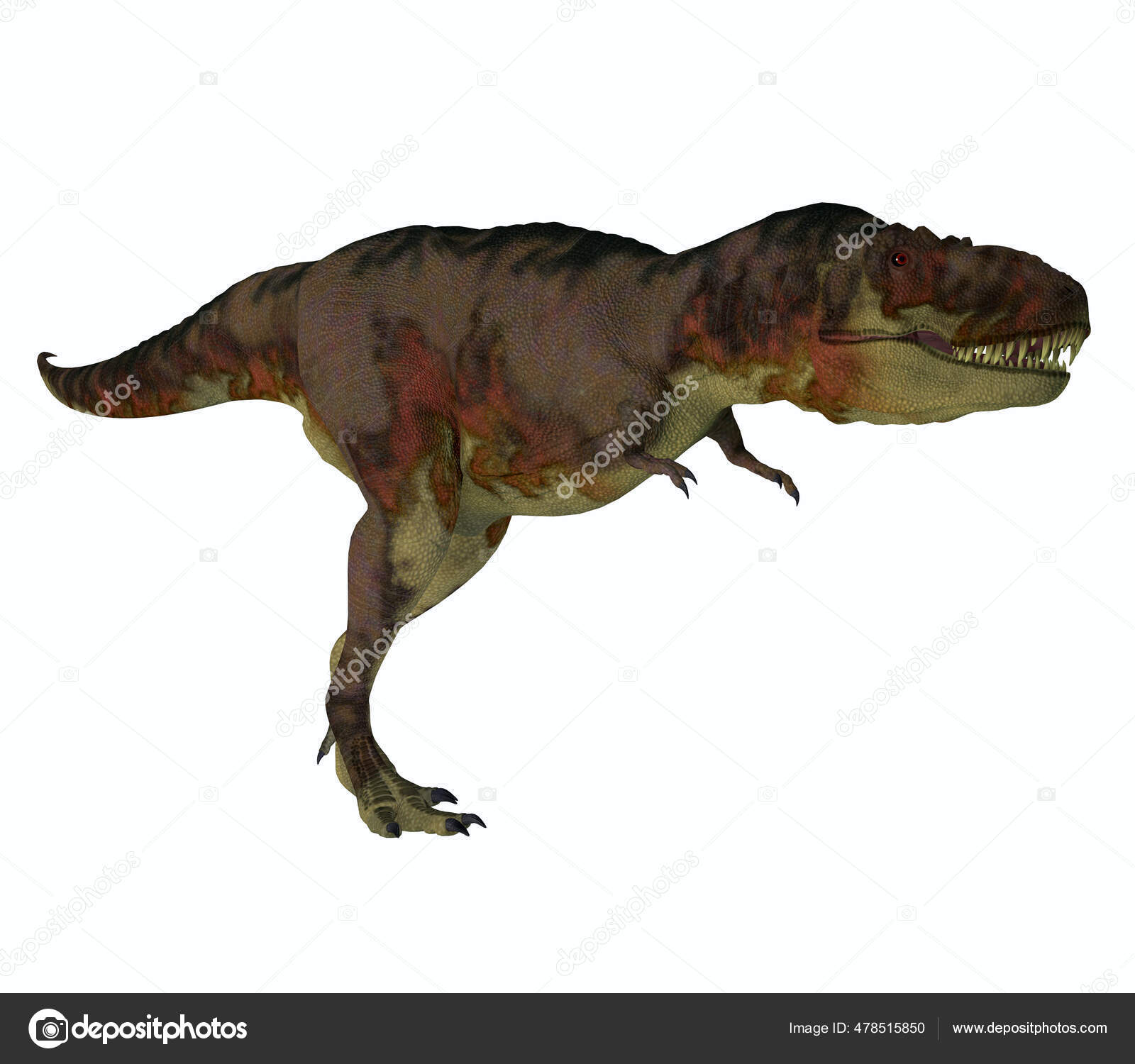 Daspletosaurus Carnivorous Theropod Dinosaur Lived North America Cretaceous Period — Stock Photo ...