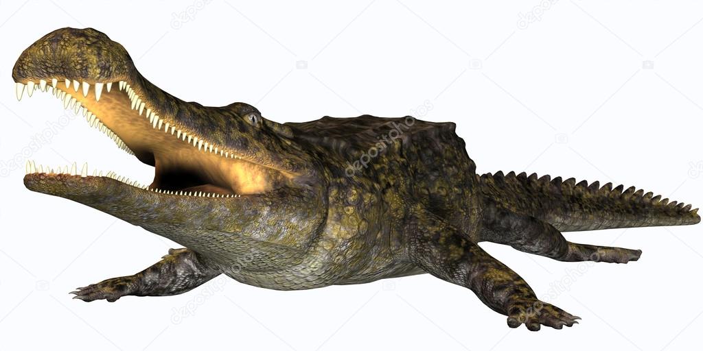 sarcosuchus | Reptiles, Fun facts, Lizard