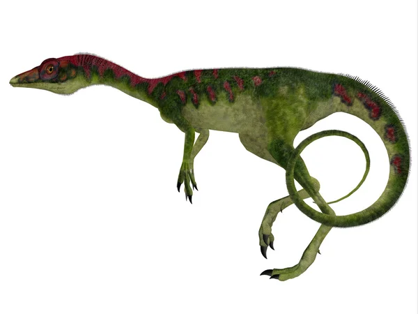 Compsognathus Stock Photos, Royalty Free Compsognathus Images ...