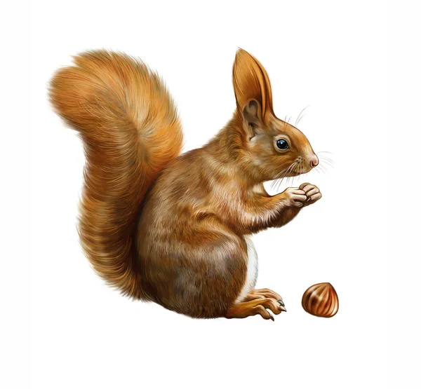 Realistic Drawing Wild Rabbit Grass Illustration Animal Encyclopedia ...