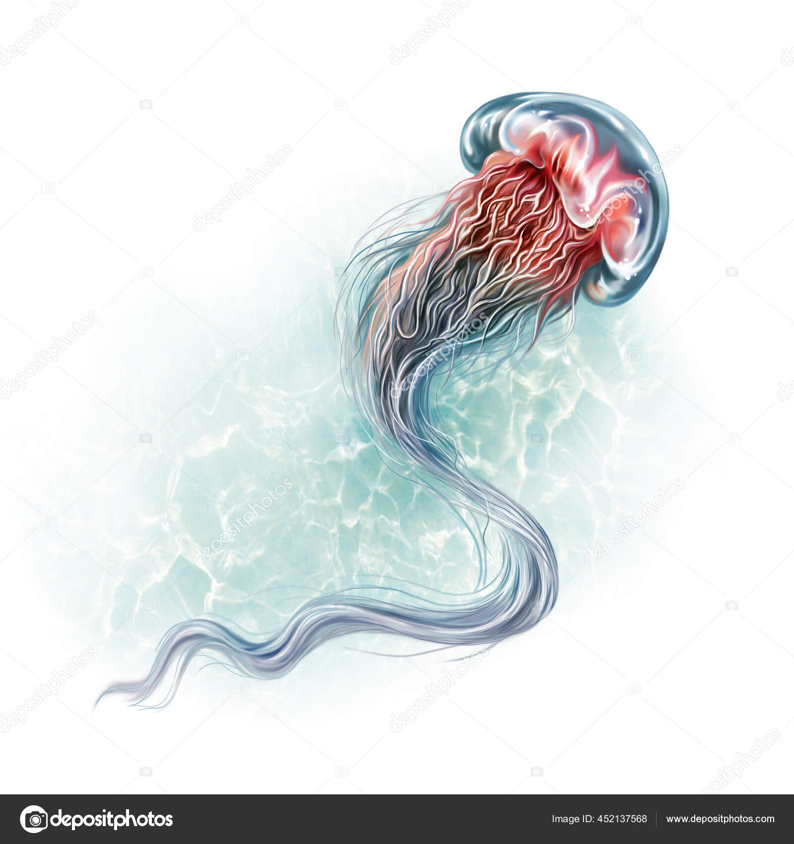 Jellyfish Realistic Drawing