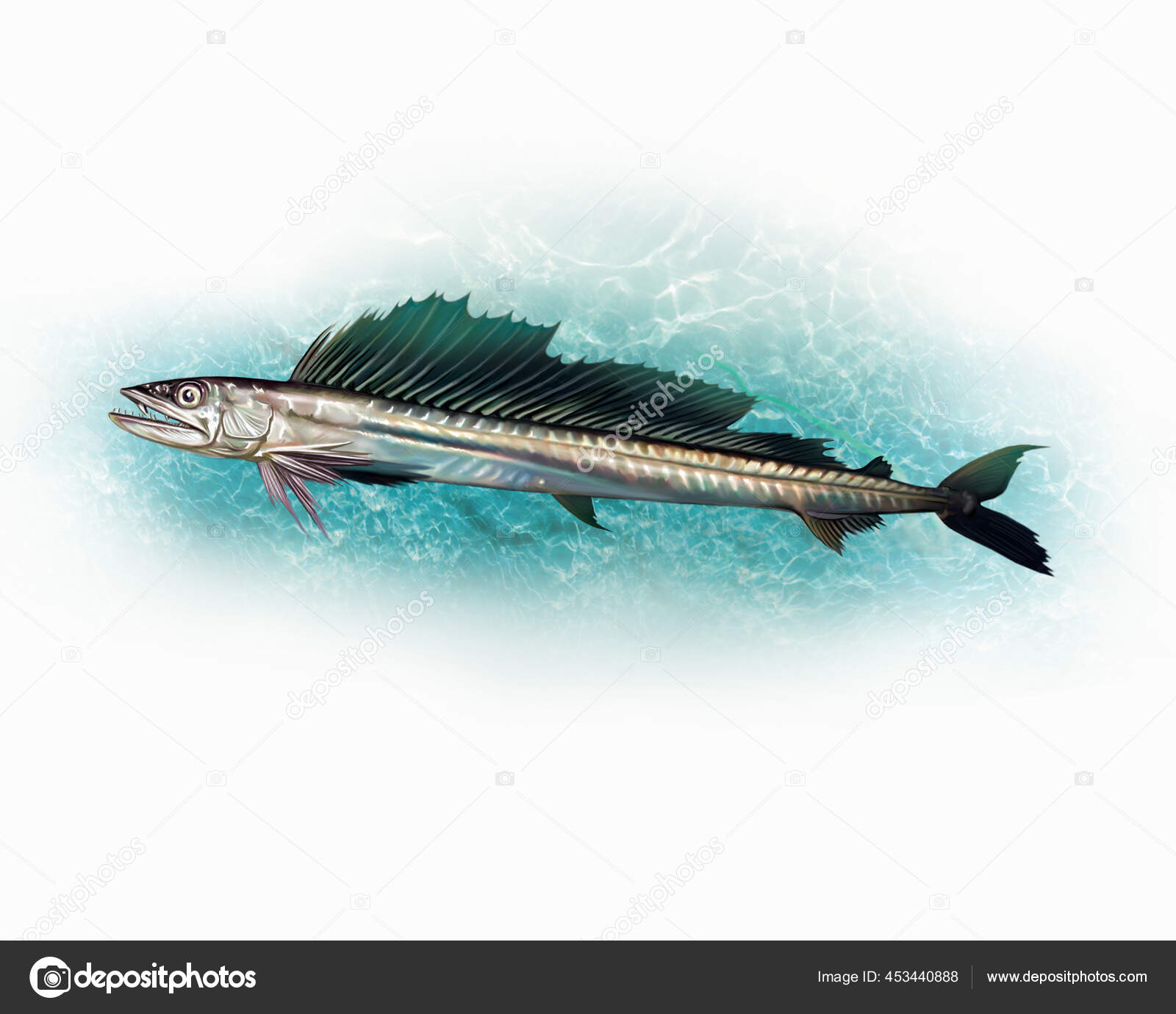 Long Snouted Lancetfish Cannibal Fish Alepisaurus Ferox Realistic ...