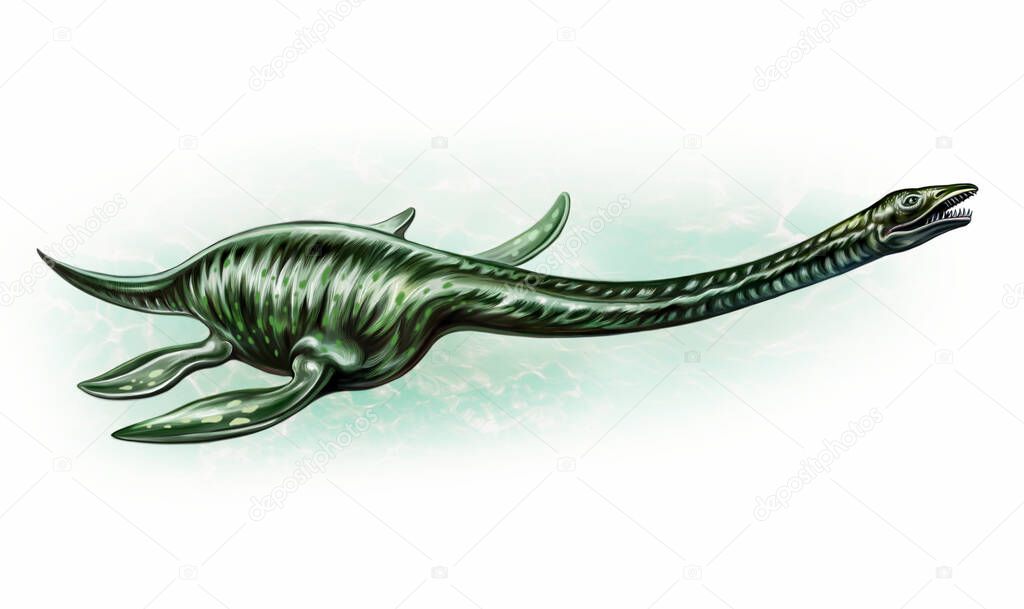 Plesiosaurio (Plesiosauria), dibujo realista, animales extintos de los ...