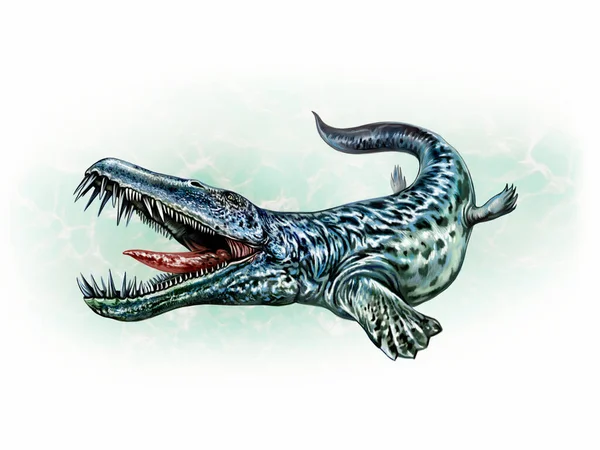 Dakosaurus