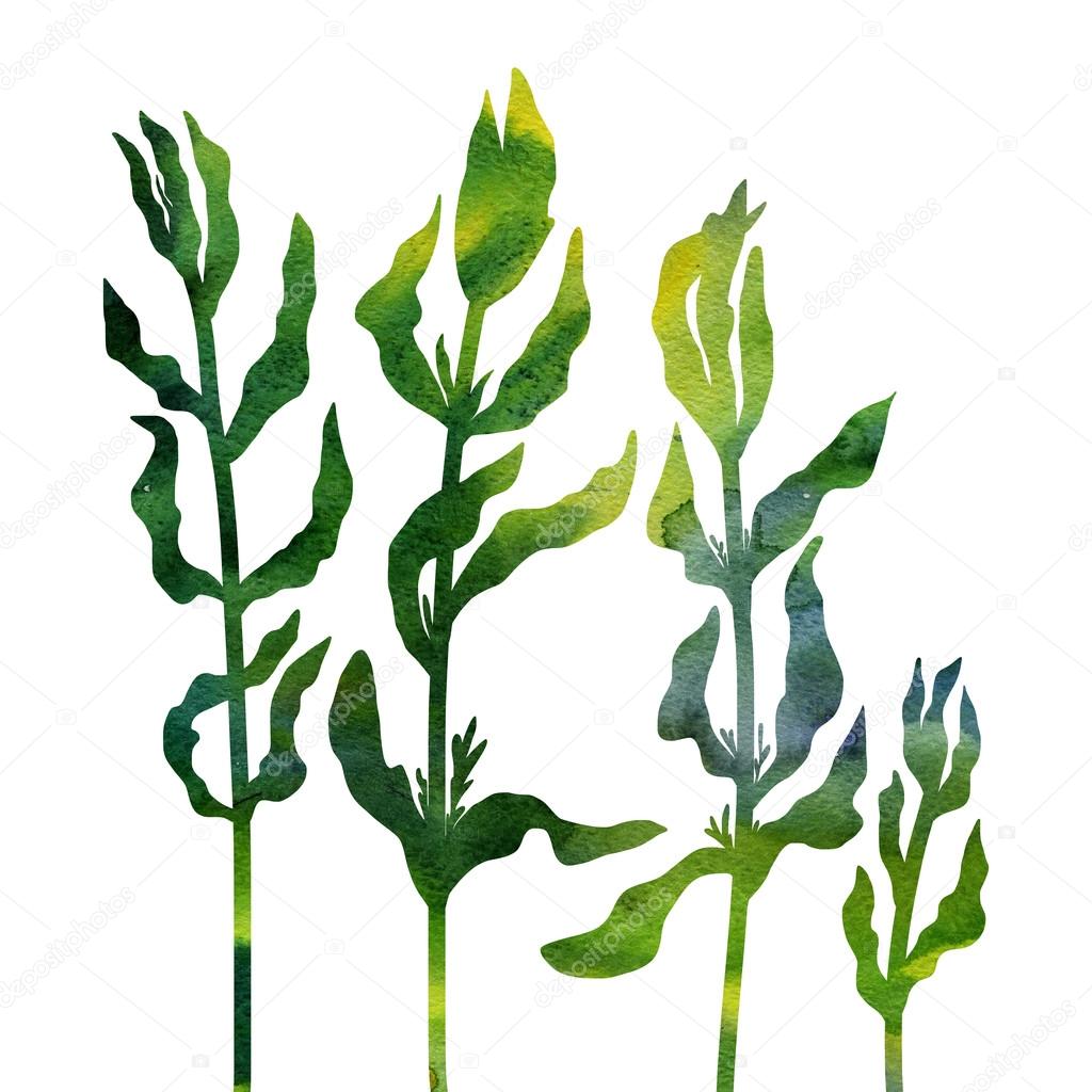 Floral composition plants and leaves Stock Illustration by ©cat_arch ...