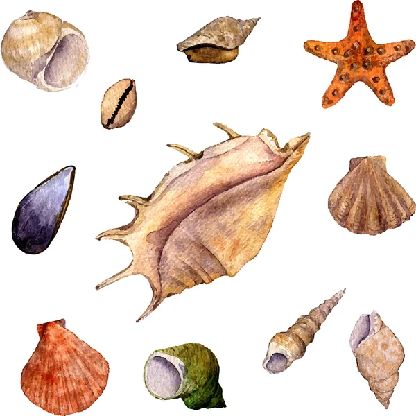 Vector round frame with watercolor drawing shells and sea stones Stock ...