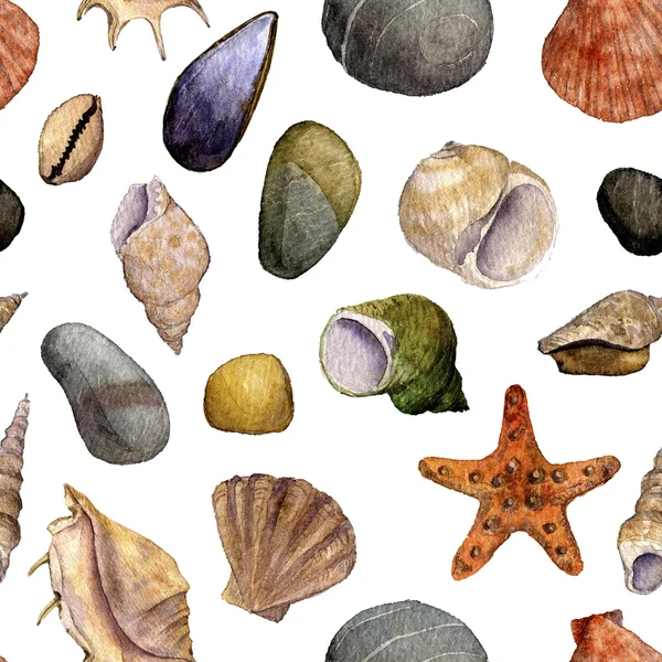 Vector round frame with watercolor drawing shells and sea stones ...