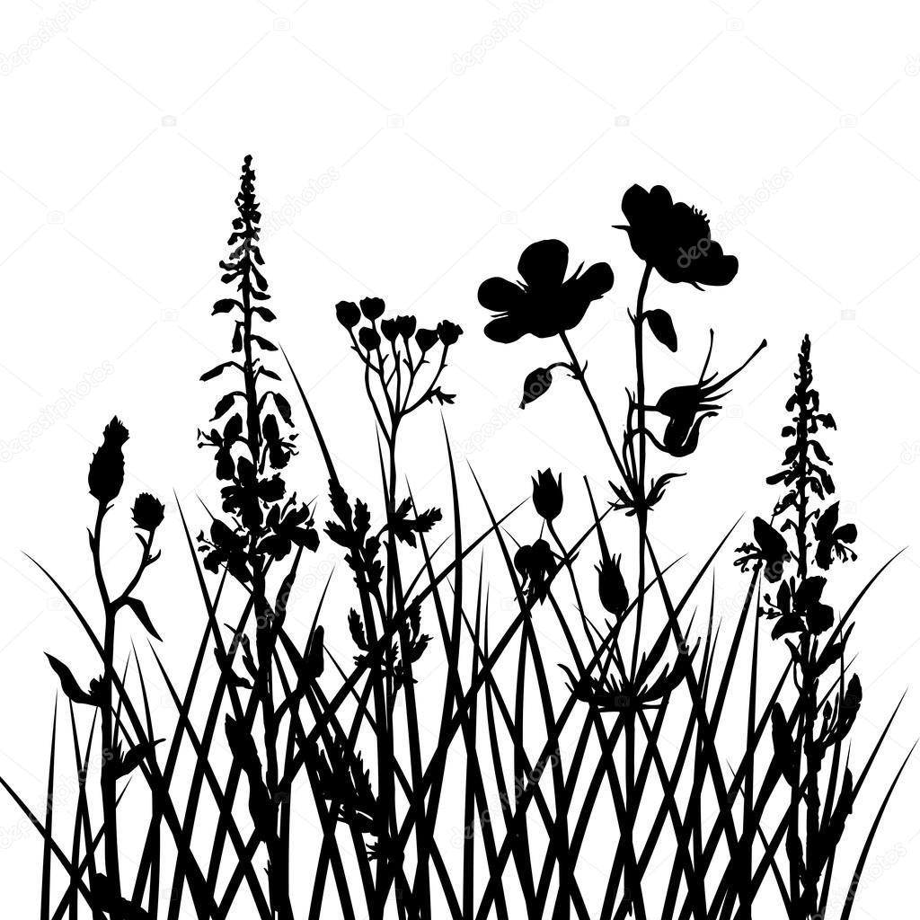 Vector Silhouetten Van Bloemen En Gras Vectorafbeelding Door © Cat Arch