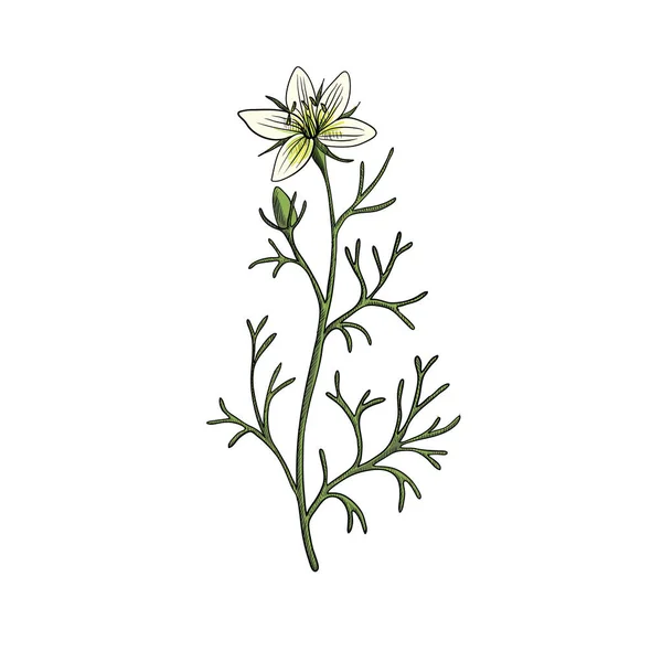 Rudaki Vector Art Stock Images | Depositphotos