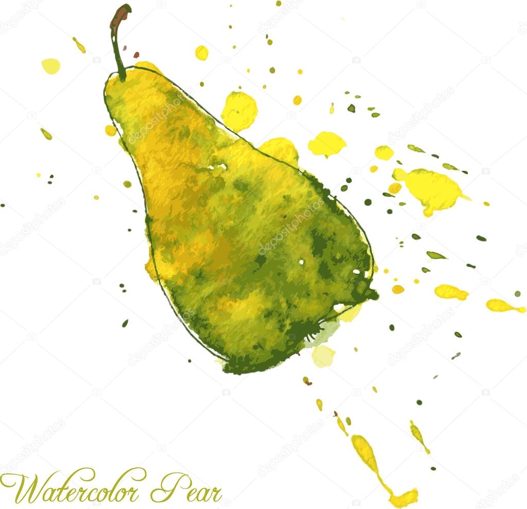 Dibujo de pera por acuarela vector, gráfico vectorial © cat_arch_angel ...