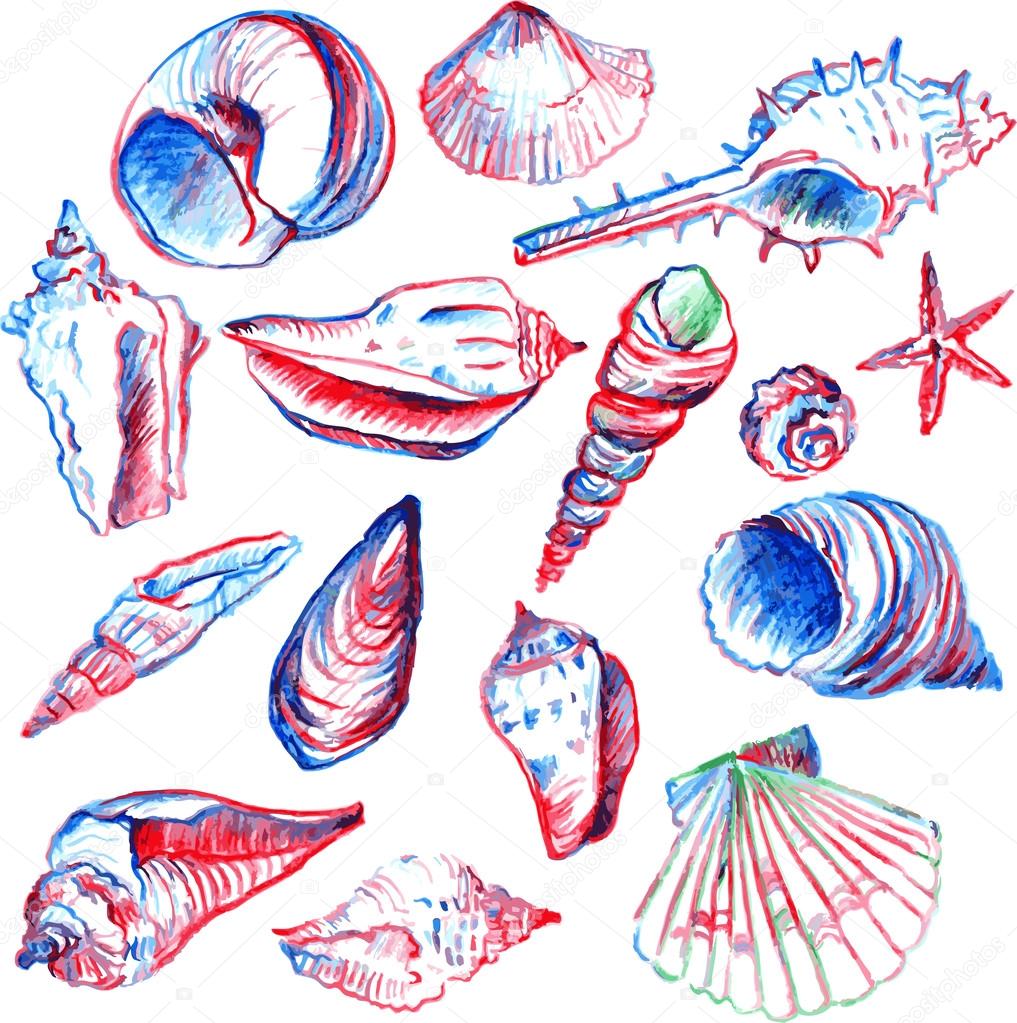Set of line drawing shells Stock Vector Image by ©cat_arch_angel #62659477