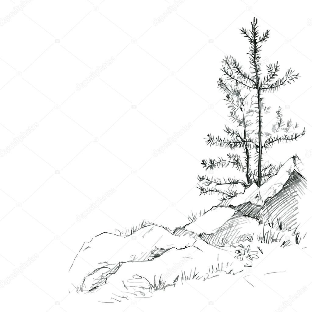 Pine trees and rocks Stock Vector by ©cat_arch_angel 73626251
