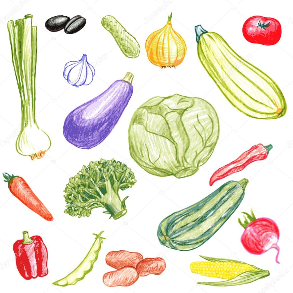 elementos vectores alimentarios 2023