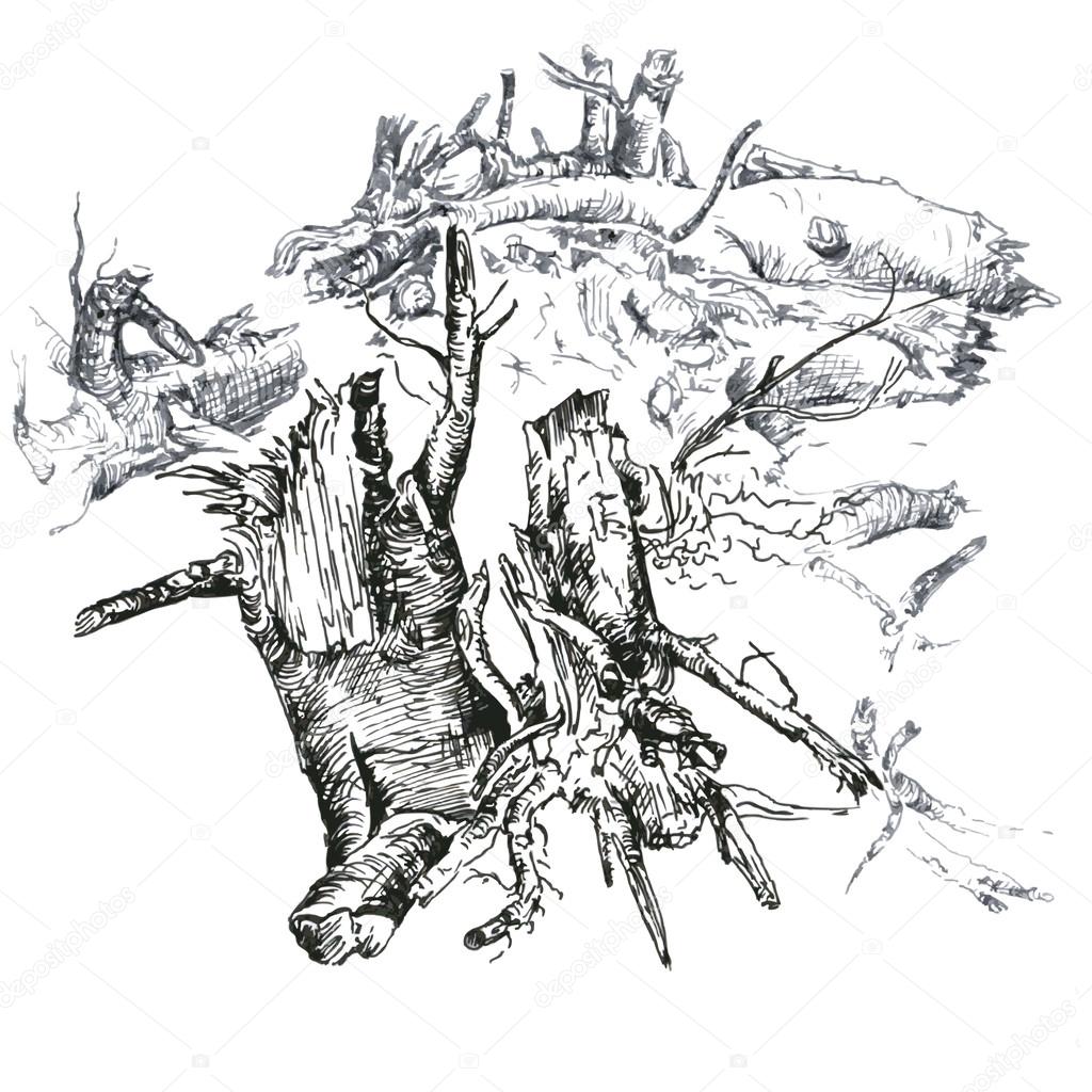 Broken tree Stock Vector Image by ©cat_arch_angel #78325376