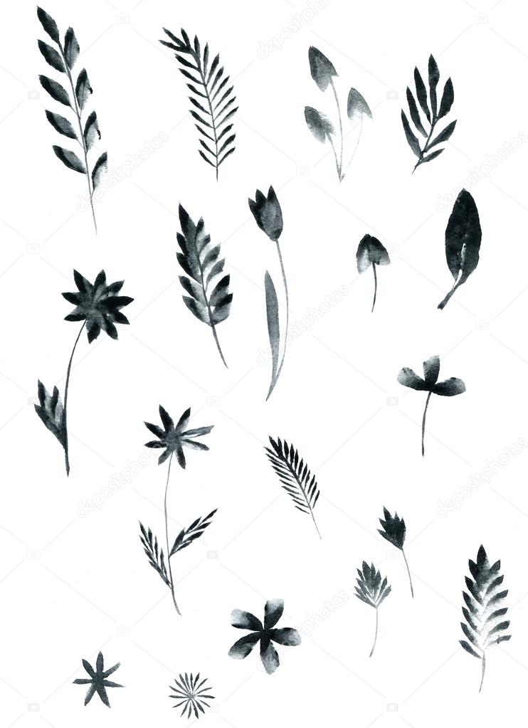 Set of black watercolor floral elements — Stock Photo © cat_arch_angel ...