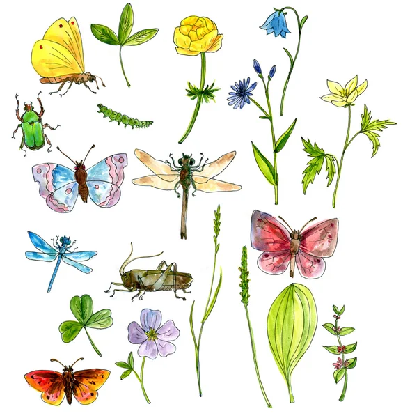 Watercolor objects Stock Photos, Royalty Free Watercolor objects Images ...