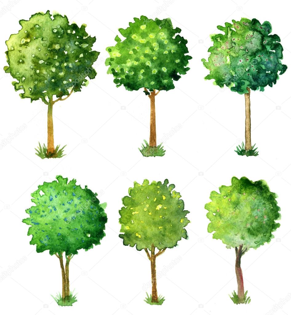 Watercolor flowering trees Stock Illustration by ©cat_arch_angel #82448604