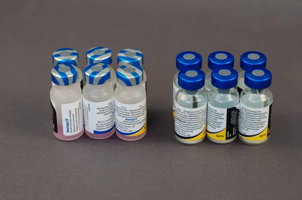 Vacuna contra animales Vanguard Plus 5 / CVL de Pfizer, EE.UU. 6 dosis ...