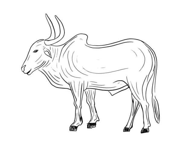 20,090,092 Drawing goat Vector Images | Depositphotos