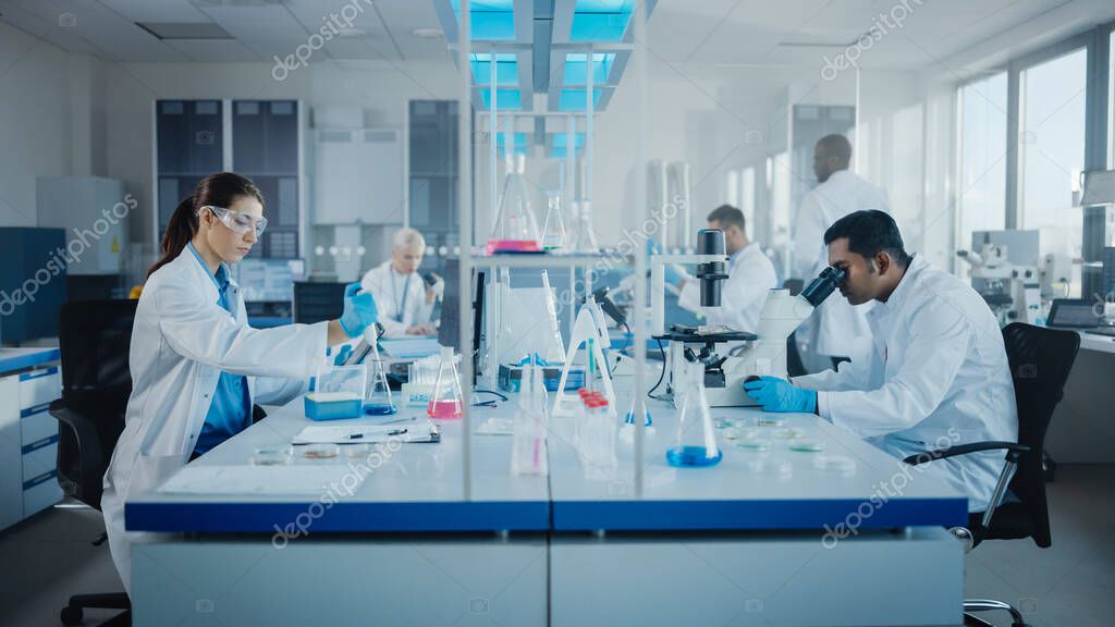 Modern Medical Research Laboratory: Diverse Team of Scientists Working with Pipette, Analysing ...