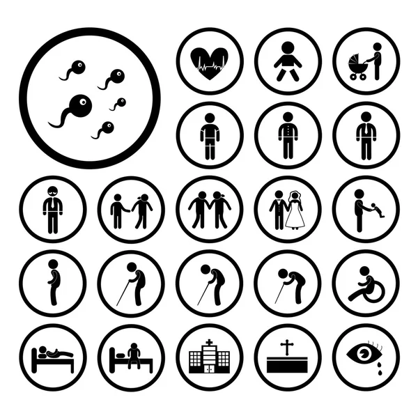 Human life cycle Stock Vectors, Royalty Free Human life cycle ...