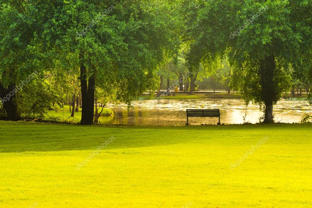 Park in sunny weather — Stock Photo © somchaij #57429231