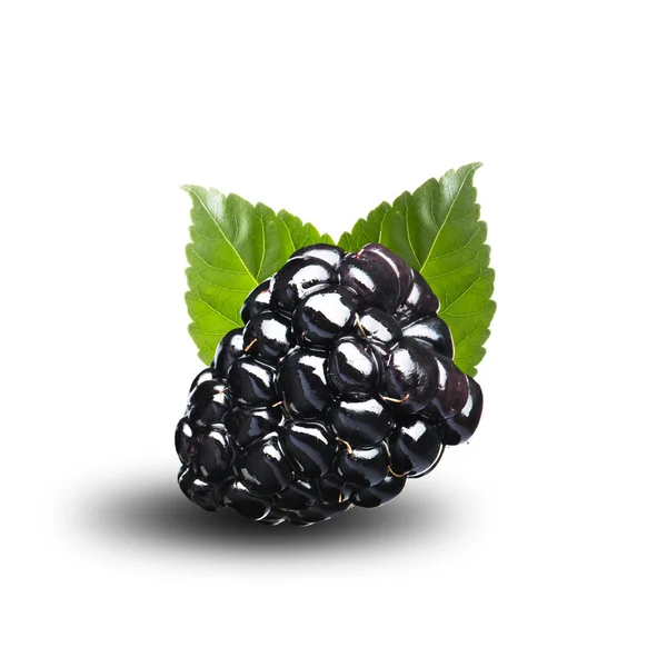 Blackberry Stock Photos, Royalty Free Blackberry Images | Depositphotos