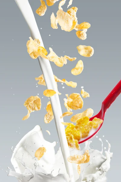 Corn Flakes Falling into Milk Splash Stock Photo by ©somchaij 77226693