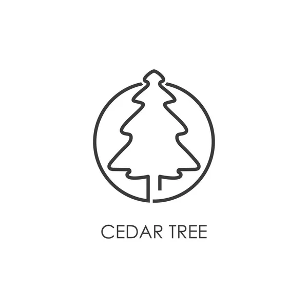 Cedrus tree Vector Art Stock Images | Depositphotos