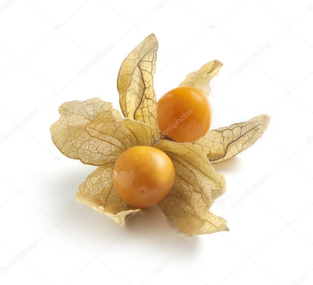 Inca berries on a white background Stock Photo by ©Greatstock 83963748